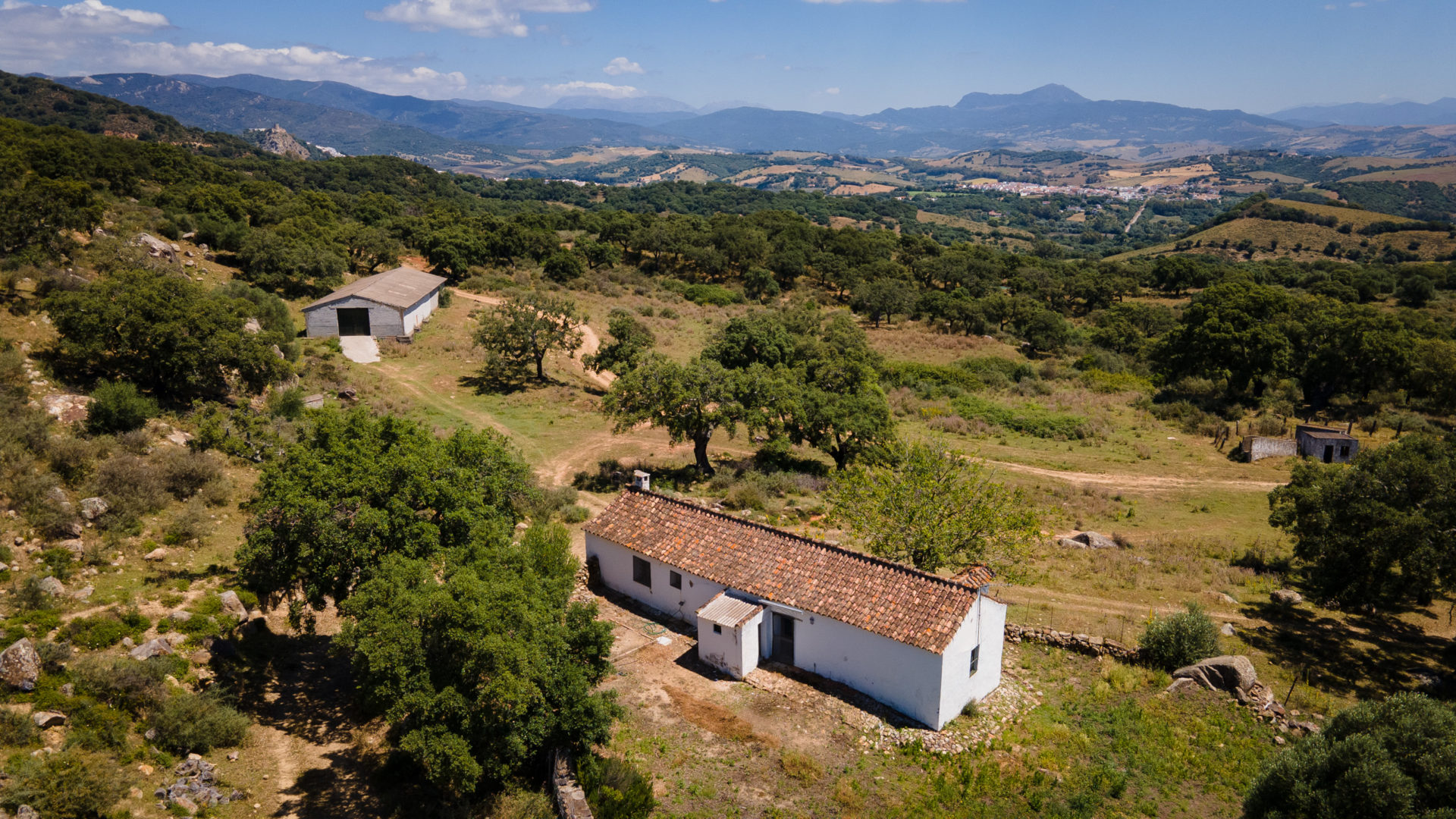 Grand Estates in Andalusia: vineyards, olive groves & hunting estates