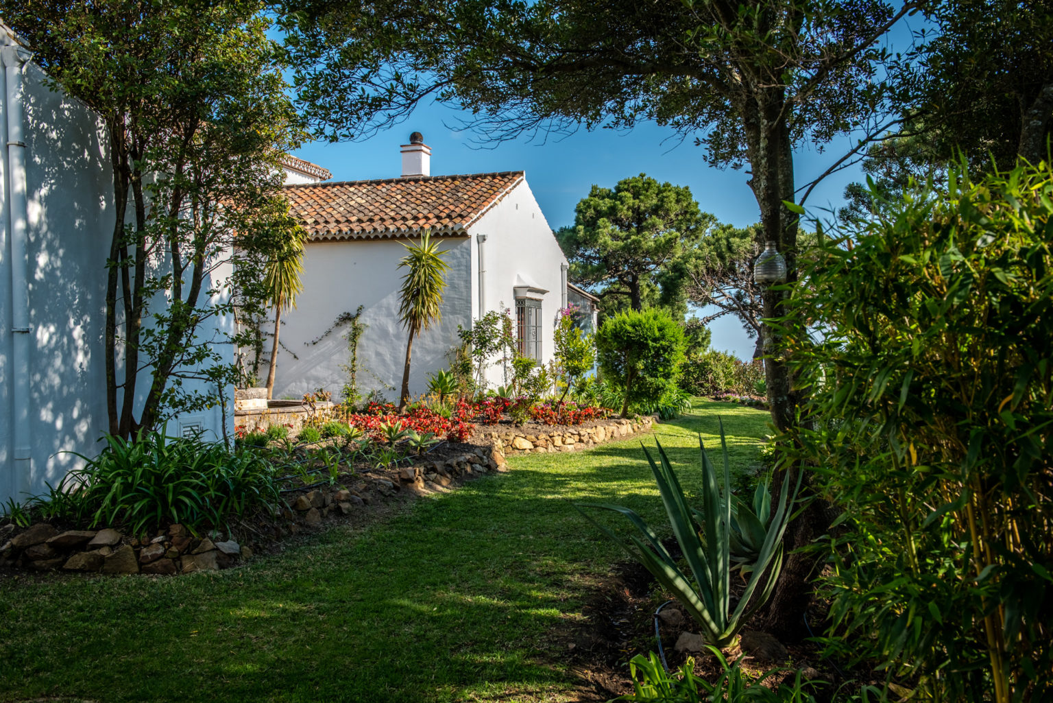 It's a lifestyle: Living in a cortijo in Andalucia - Villas & Fincas