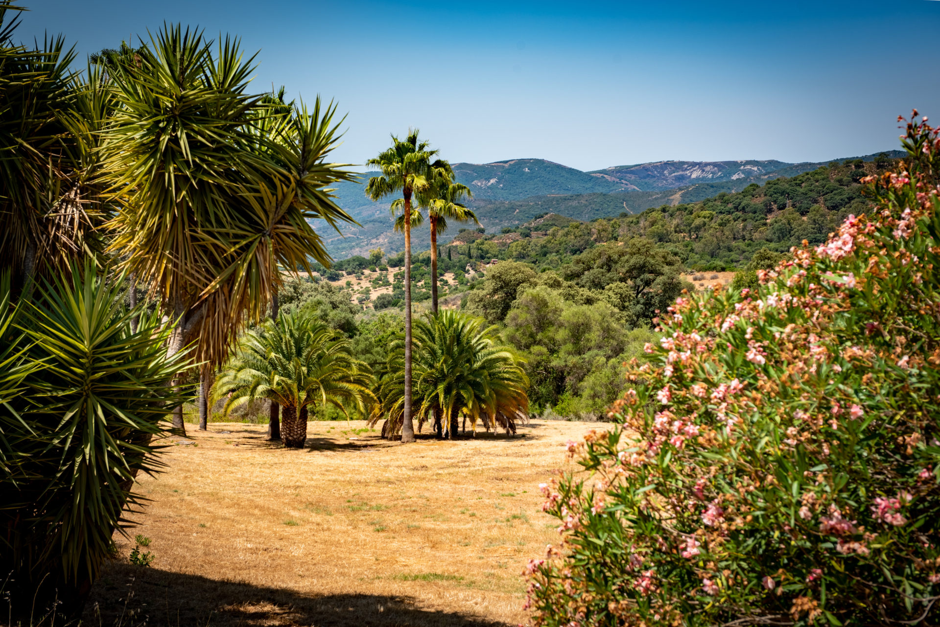 My Andalusian Country Estate near Gaucin - Villas & Fincas
