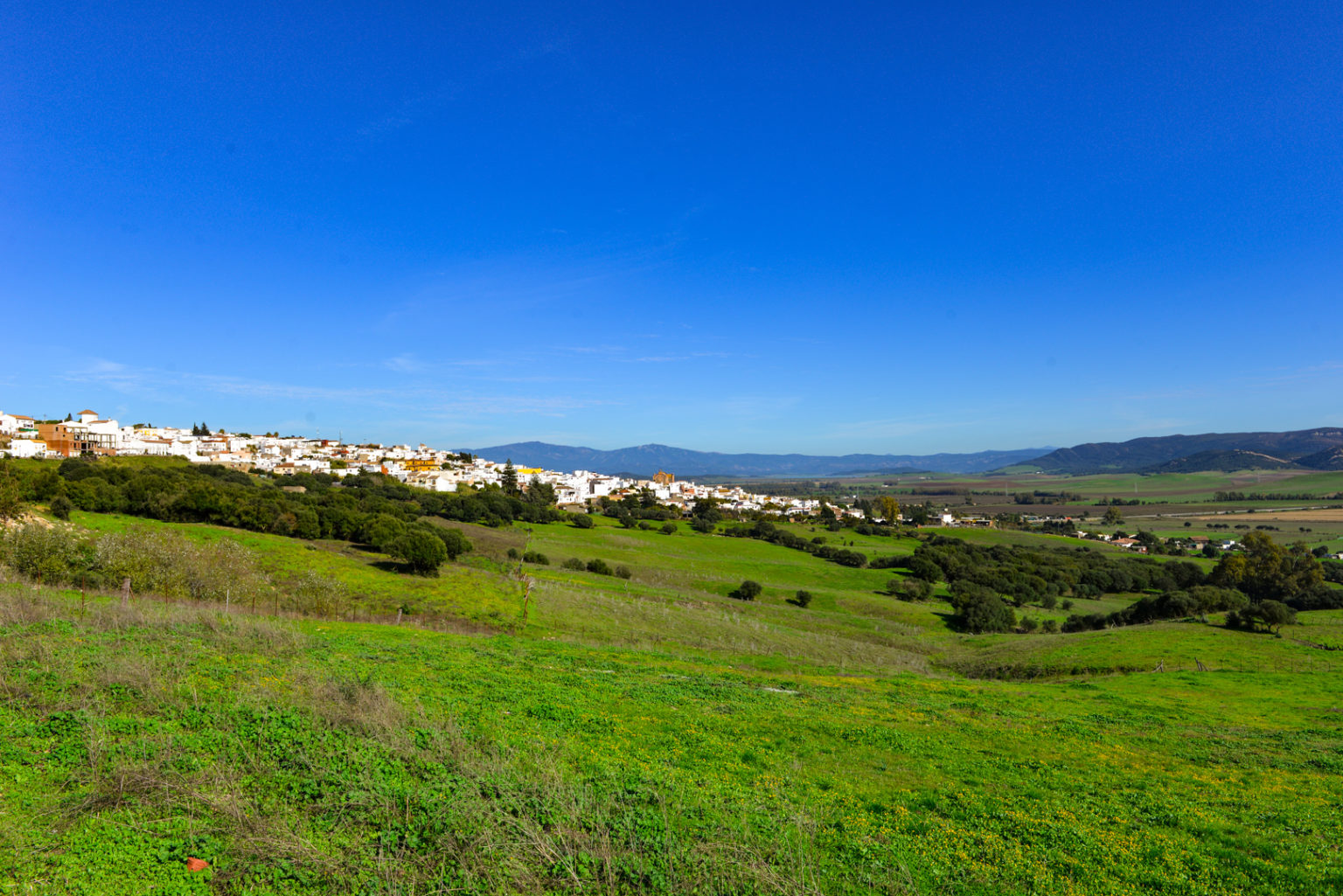 Information about Benalup-Casas Viejas - Villas & Fincas