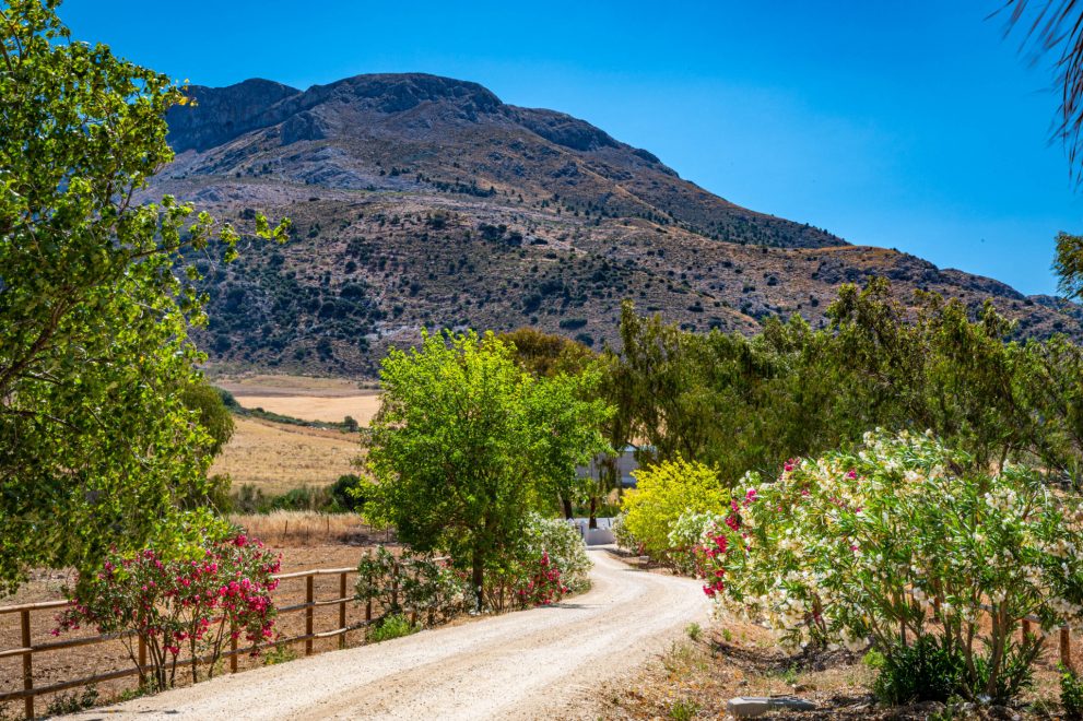 Villas & Fincas Blog: The Andalusian Lifestyle | Country Houses